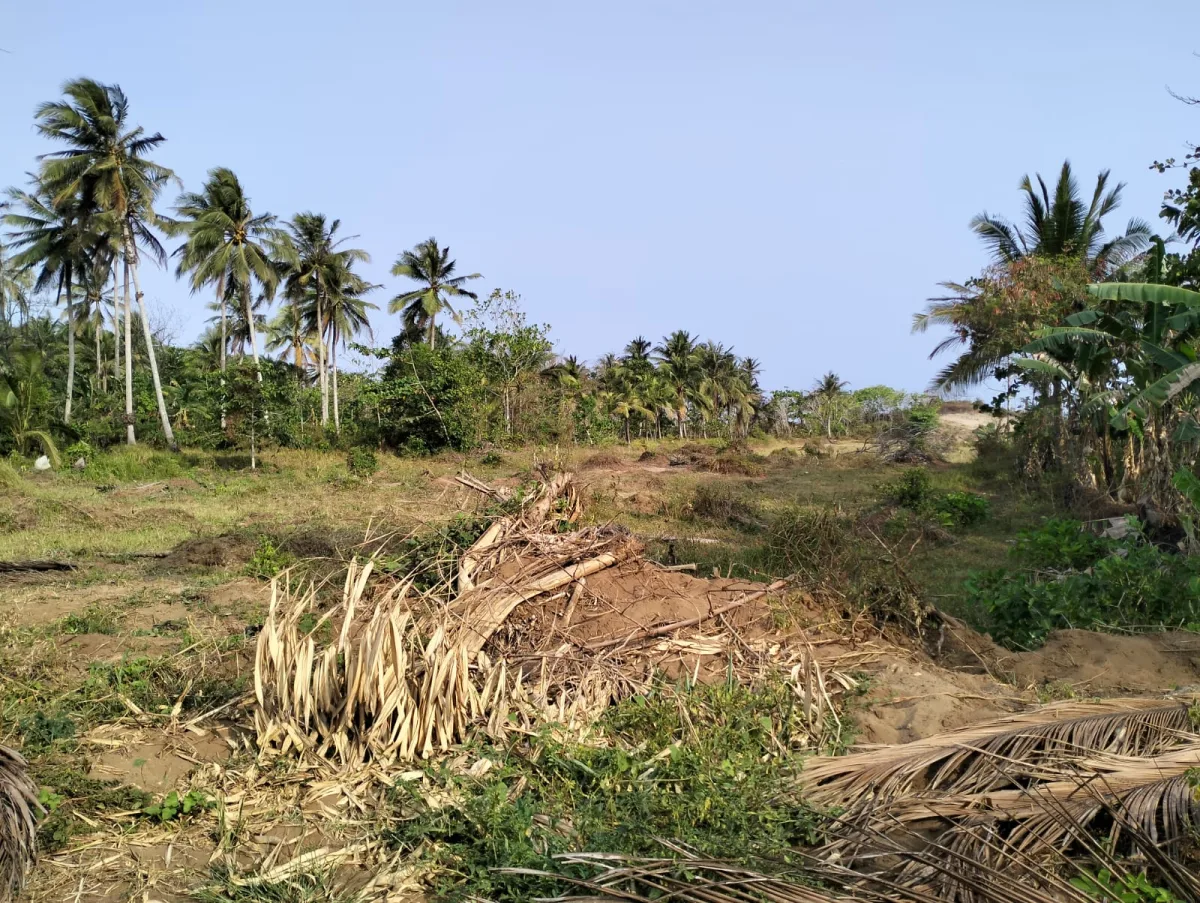 Petani Penggarap Lahan Gelisah Terancam Eksekusi Alat Berat PT MII ...